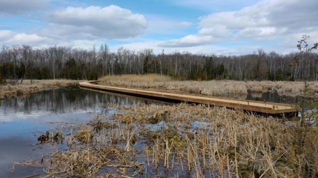 Floating ATV Trail Case Study | NyDock